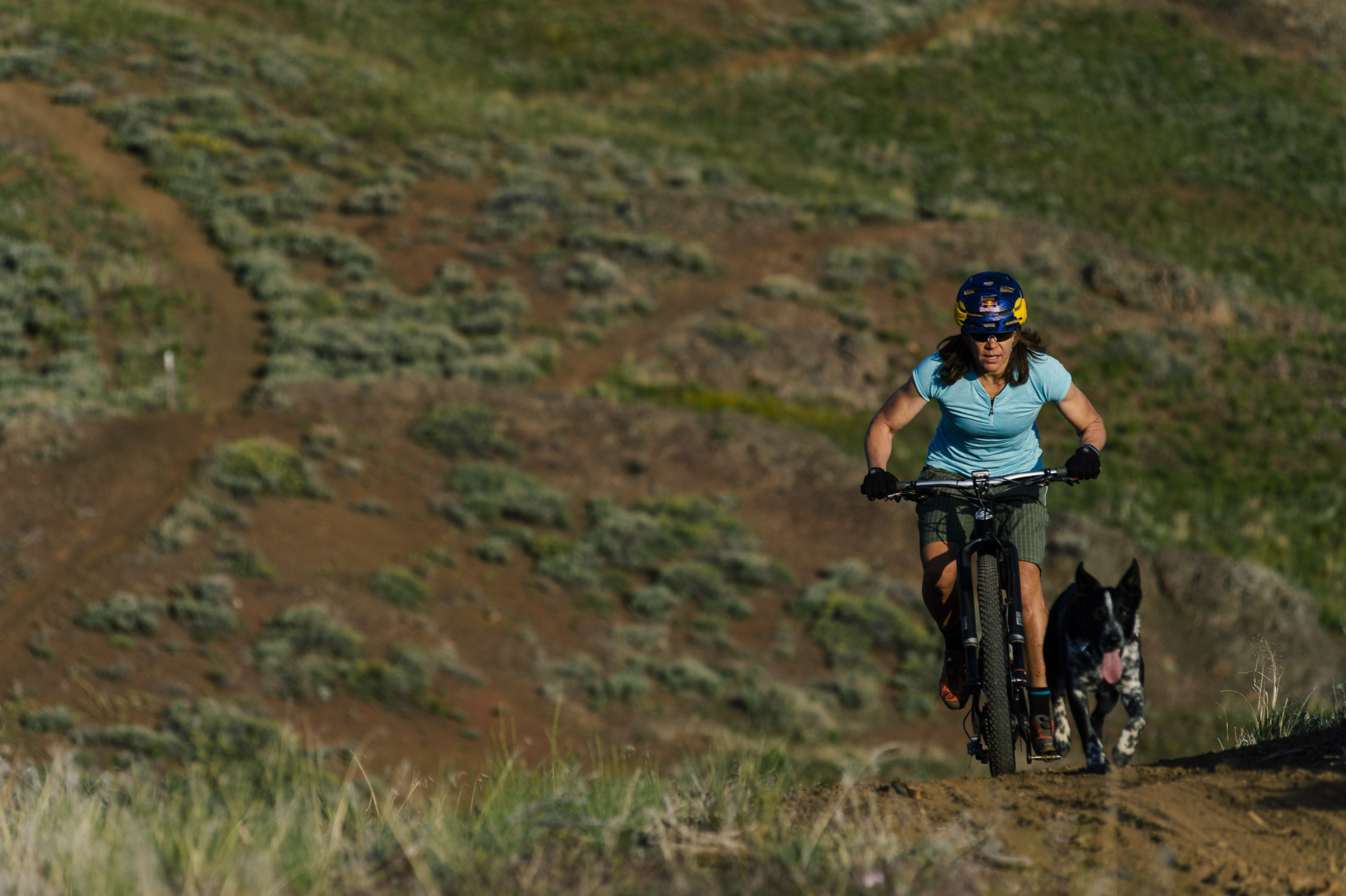 Member Drive Giveaway - Revelate Spinelock™, 2 Feed Bags & Club Ride ...