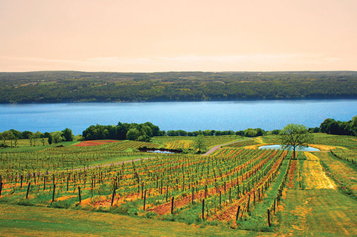 Finger Lakes Visit Finger Lakes | Wineries, Hotels, Resorts